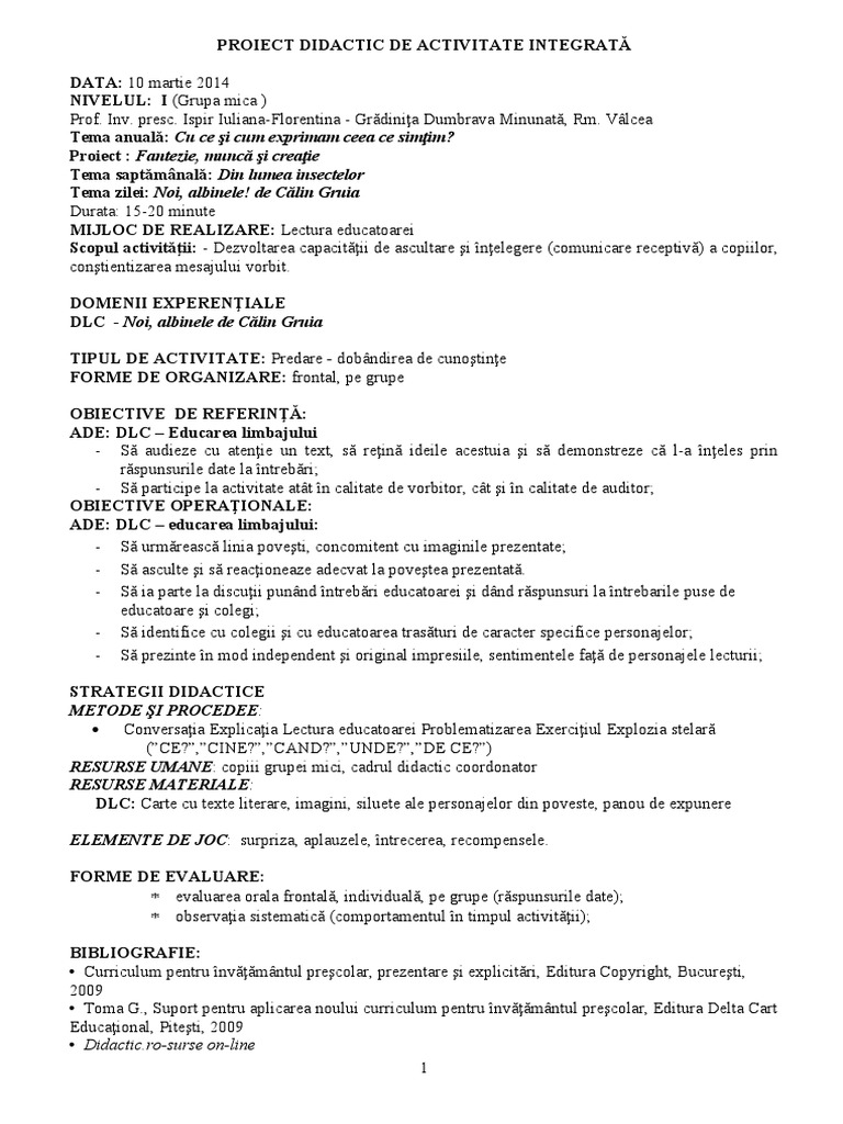 Proiect Inspectie DLC | PDF