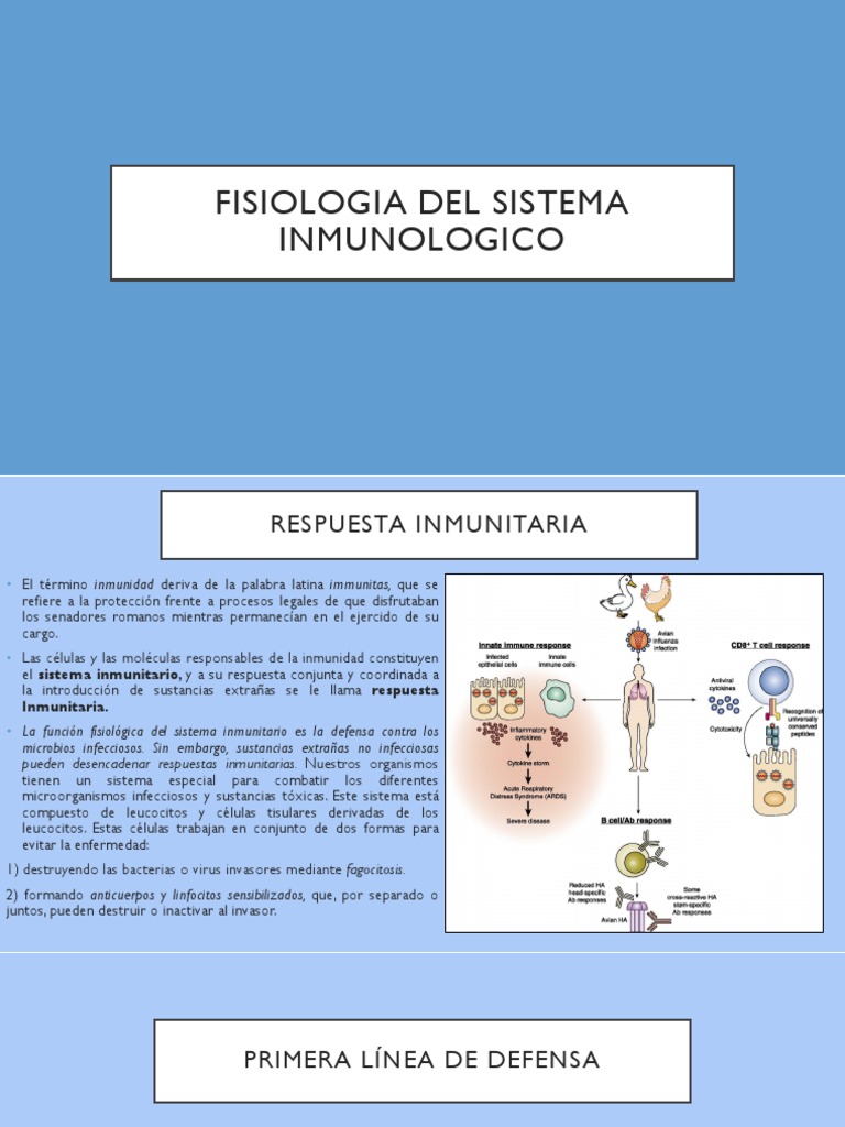 Fisiologia Del Sistema Inmunologico 2021 II | PDF | Sistema inmune | Antígeno