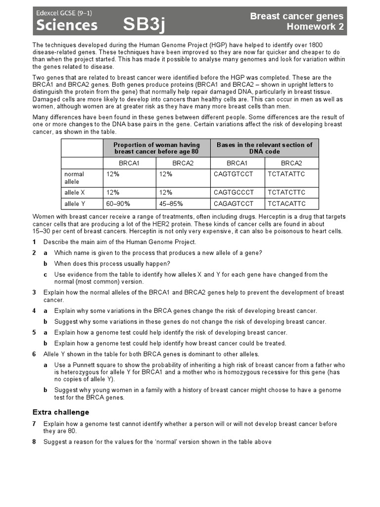 Breast Cancer Genes HW 2 | PDF | Gene | Cancer