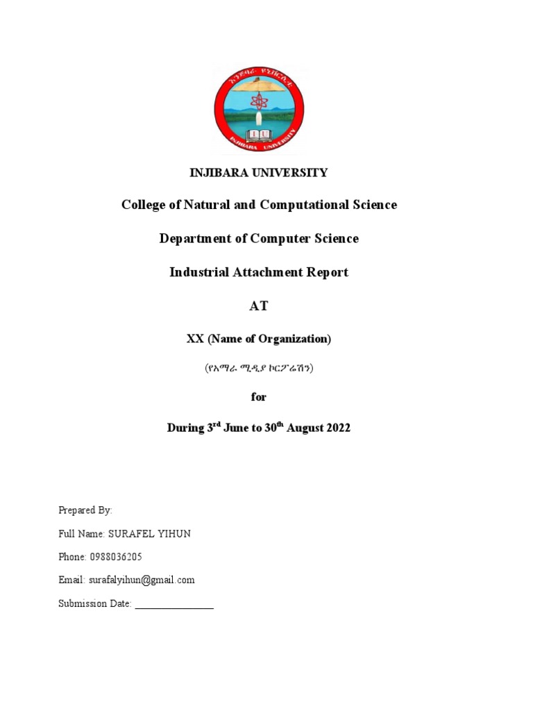 Internship | PDF | Computer Network | Ip Address