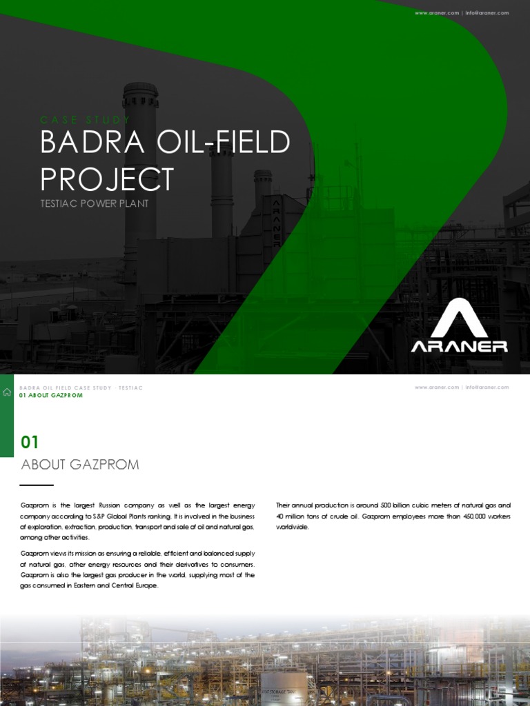 Araner - Badra Oilfield Case Study - Testiac | PDF