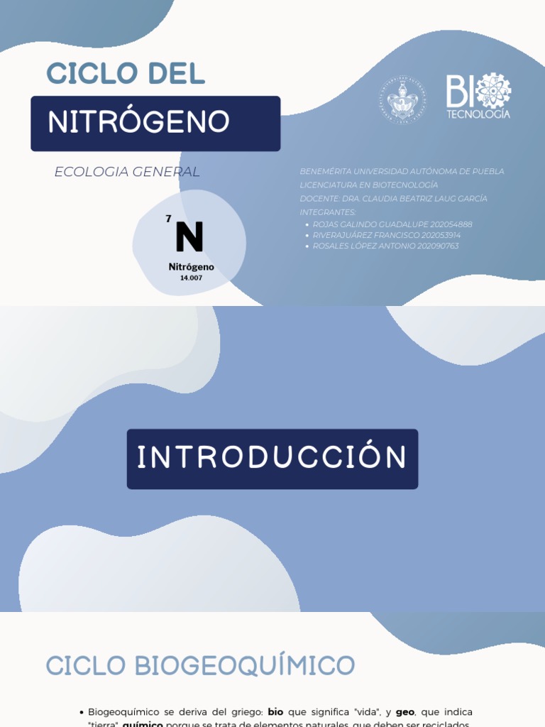Ciclo del Nitrógeno en Biotecnología | PDF | Nitrógeno | Nitrato