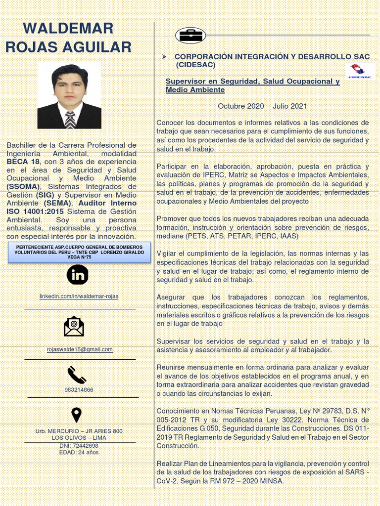 CV Rojas - Aguilar - Waldemar | PDF | Seguridad y salud ocupacional | Valores