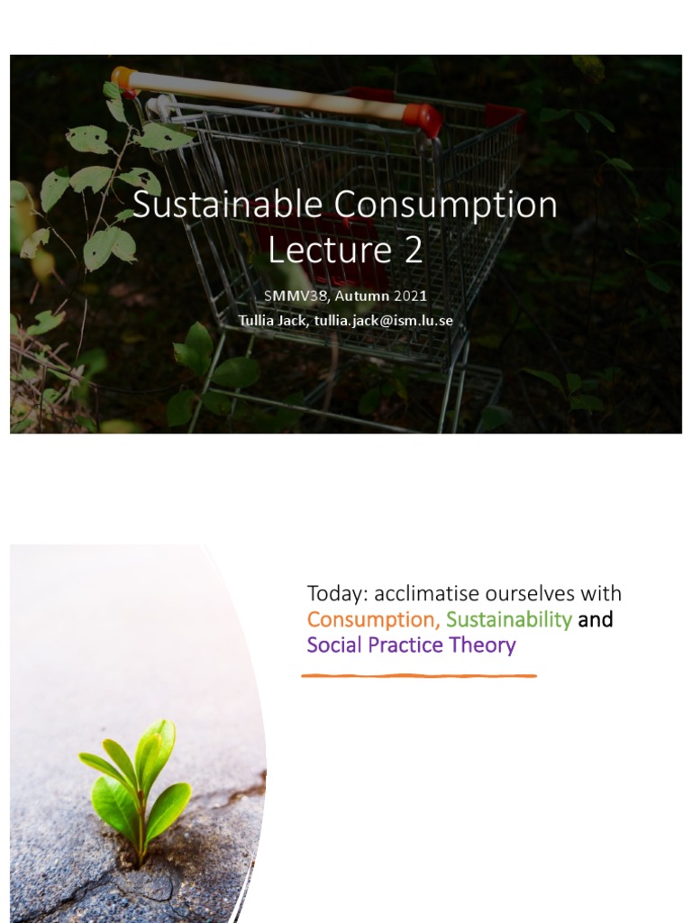 Understanding Sustainable Consumption | PDF | Sustainability ...