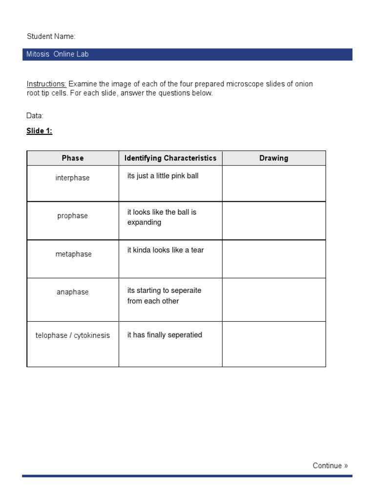 2.1 MitosisOnlineLabWorksheet | PDF | Mitosis | Genetics