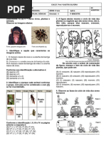 Raízes Adventícias: Exemplos e Funções | PDF | Raiz | Morfologia vegetal