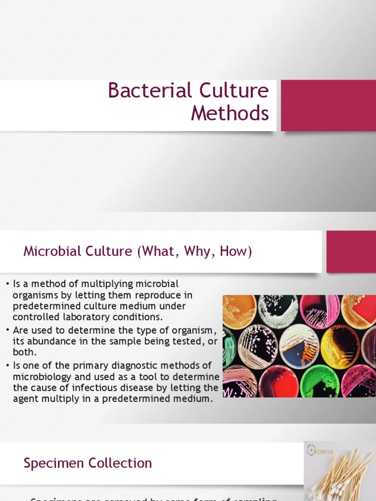 7 Methods of Studying Bacteria | PDF | Growth Medium | Microbiology