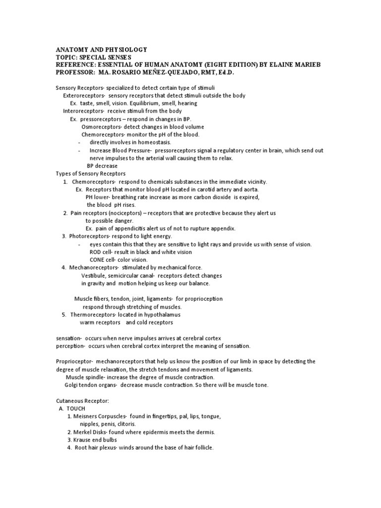 Module 16 Handouts Special Senses Pdf Senses Ear