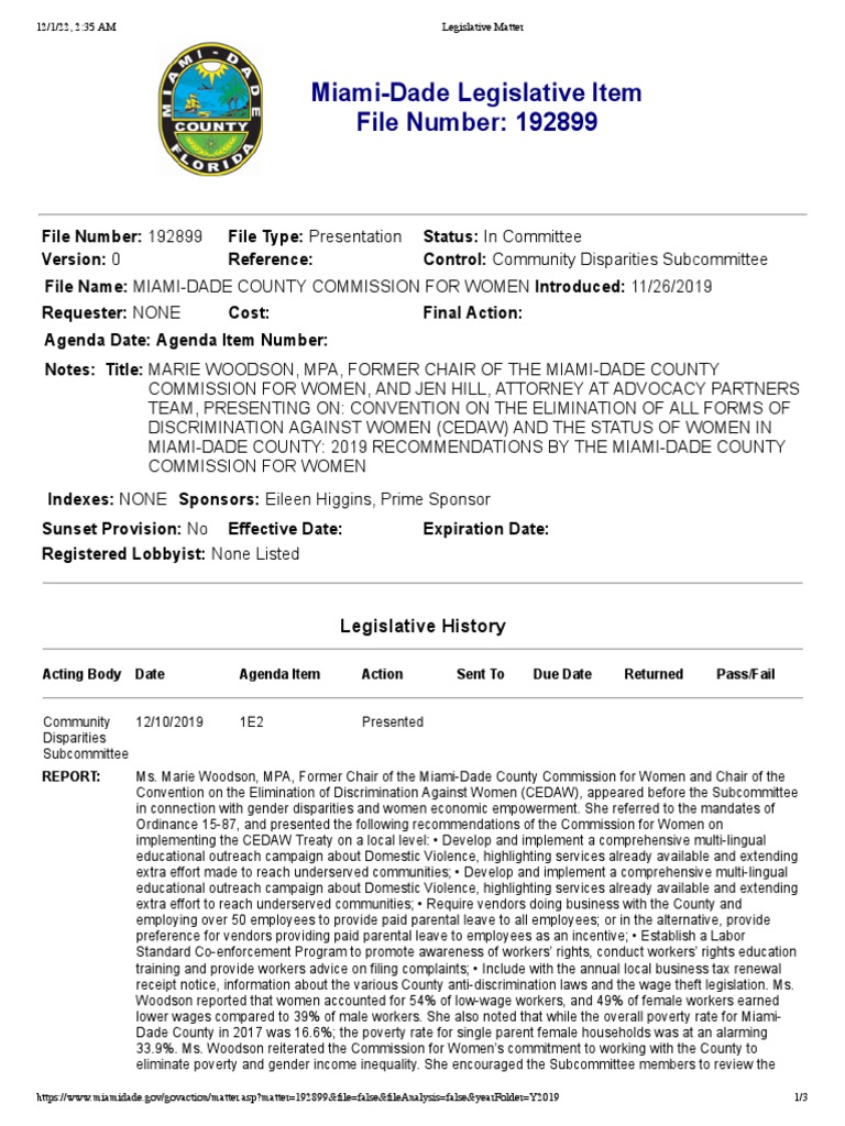 CEDAW Recommendations Included in The 2019 Report - Miami-Dade County ...