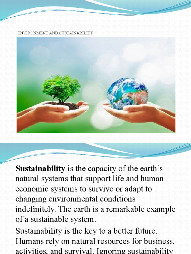 LESSON 1 Environment and Sustainability | PDF | Sustainability ...