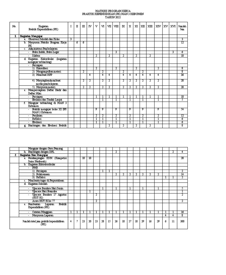 Matriks Program Kerja PK | PDF