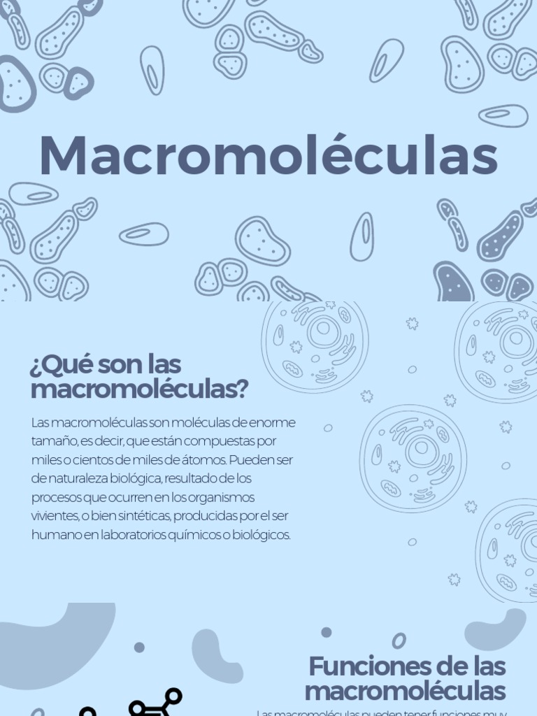 MACROMOLECULAS | PDF | Ácidos nucleicos | Carbohidratos