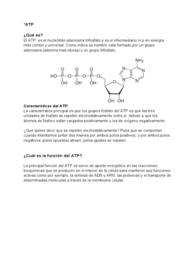 ATP, ADP y Fotosintesis | PDF | Fotosíntesis | Trifosfato de adenosina