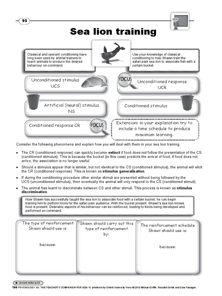 Sea Lion Training | PDF | Classical Conditioning | Neuroscience
