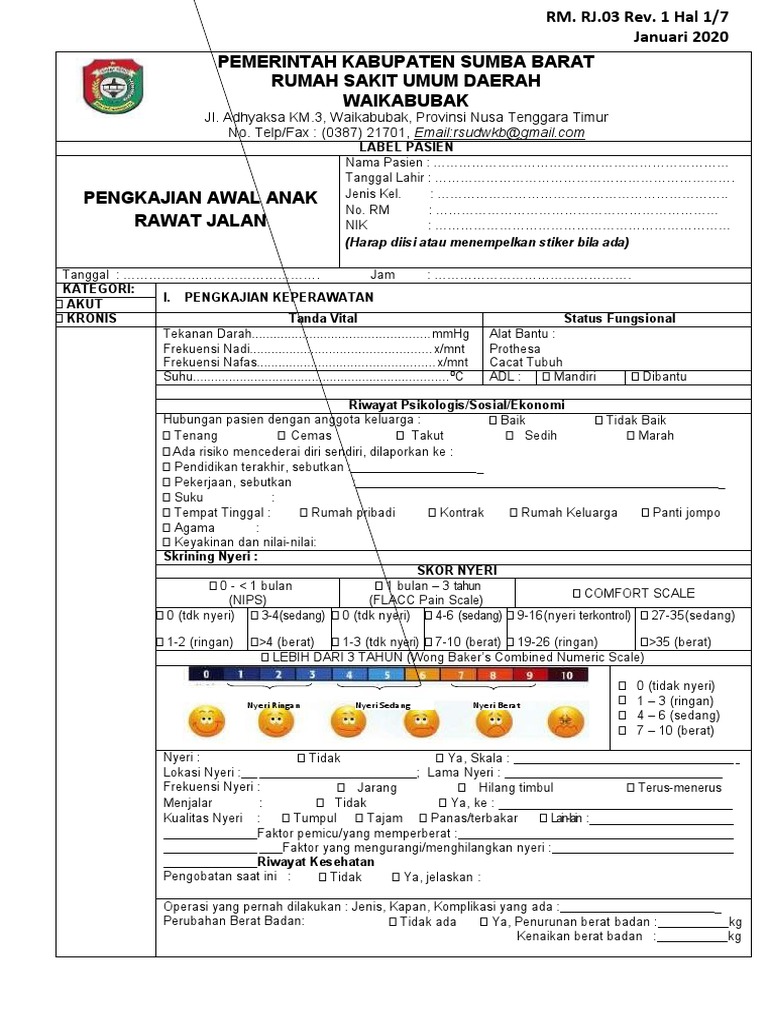 RM RJ 03 Formulir Asesmen Awal Rawat Jalan Anak Fixxx REVISI Nik | PDF