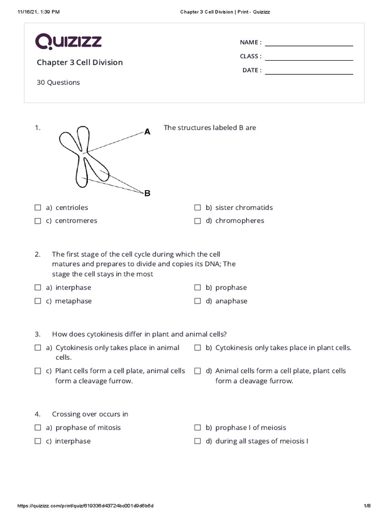 Cell Division: Key Stages and Processes | PDF | Meiosis | Mitosis