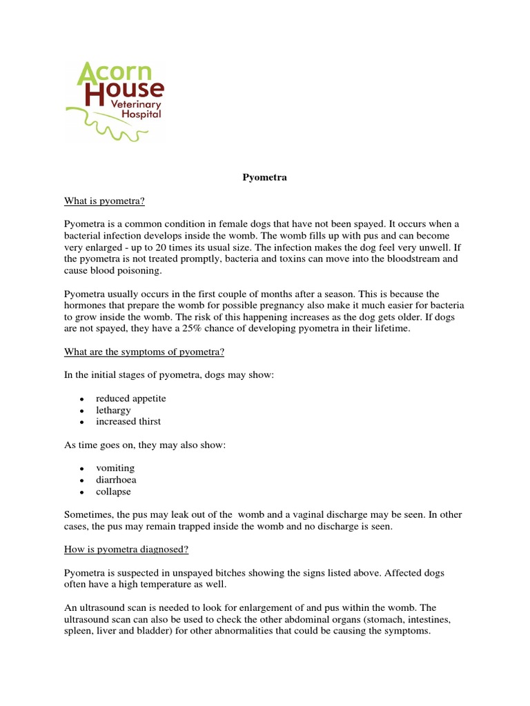 Pyometra | PDF | Surgery | Sepsis