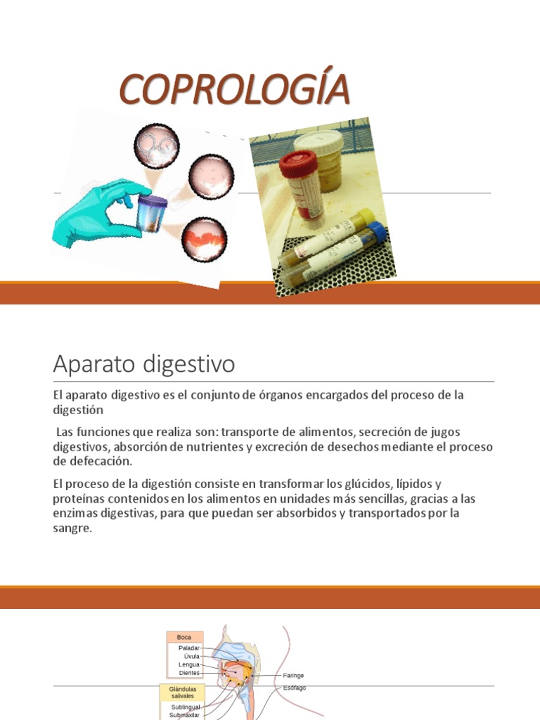 COPROLOGÍA | PDF | Heces | Digestión