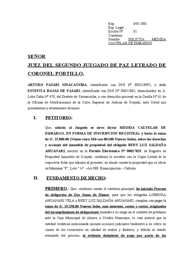 Solicitud de Medida Cautelar de Embargo | PDF | Mandato | Justicia