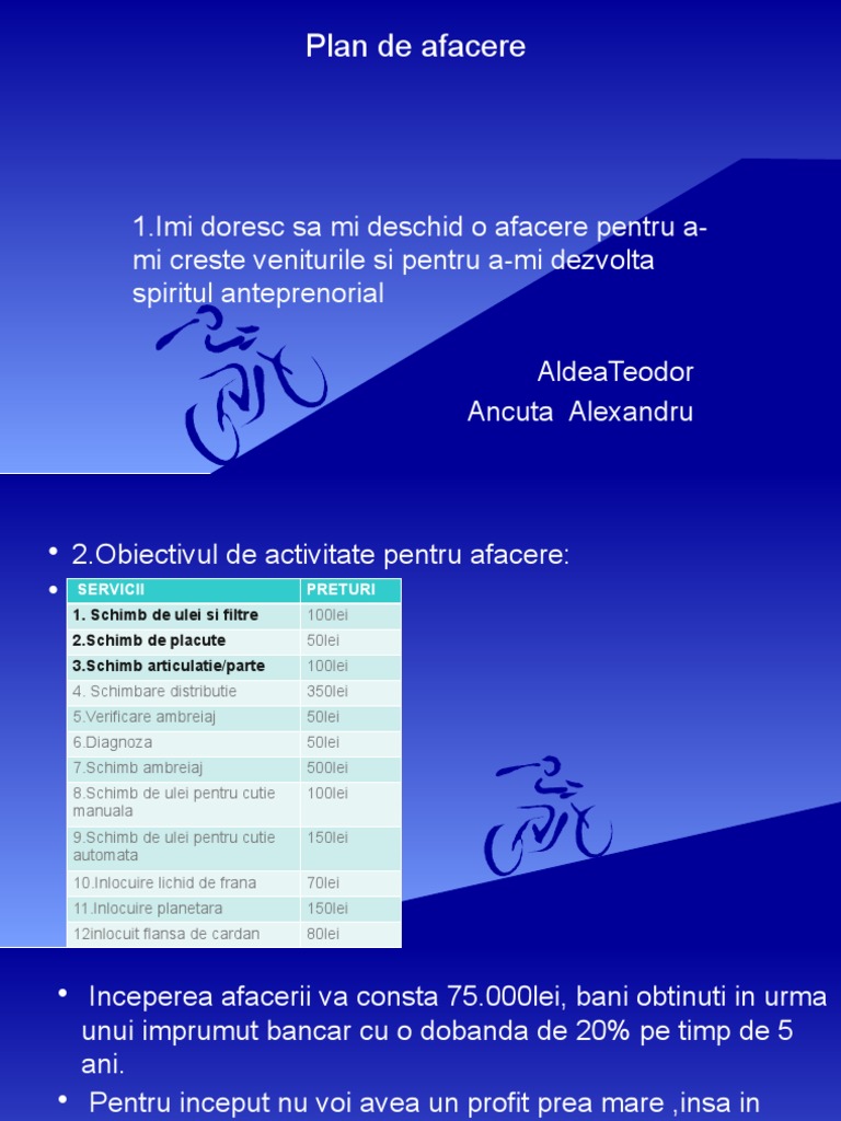 Plan de Afacere | PDF