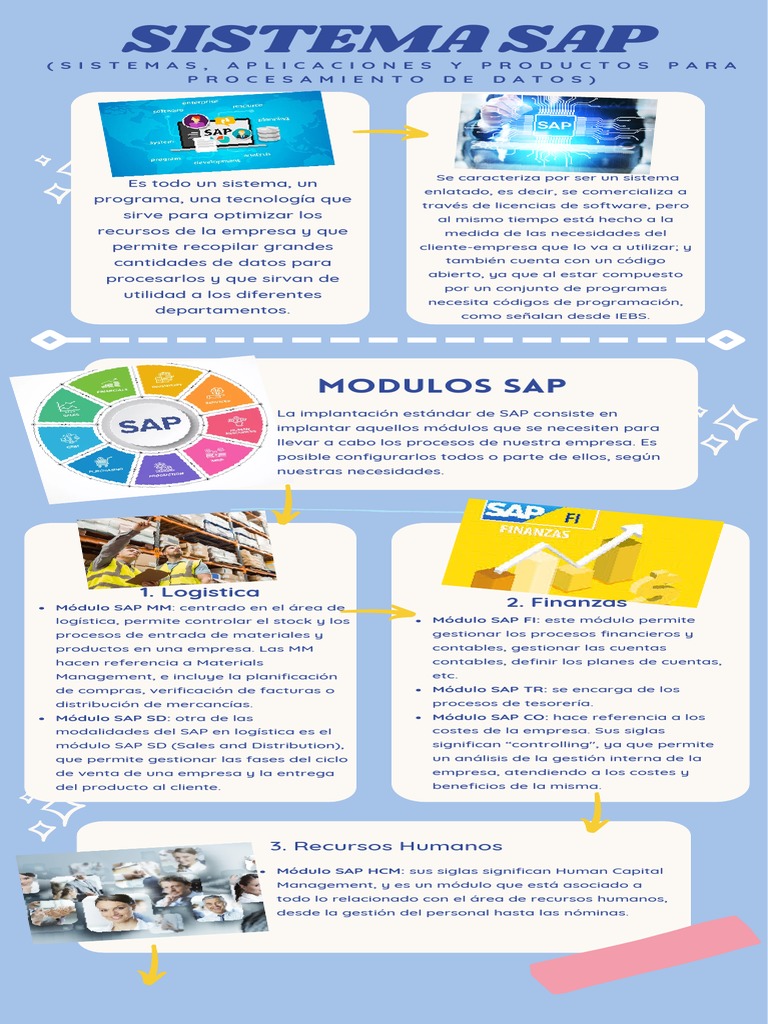 A Infografía SAP | PDF | Logística | Business