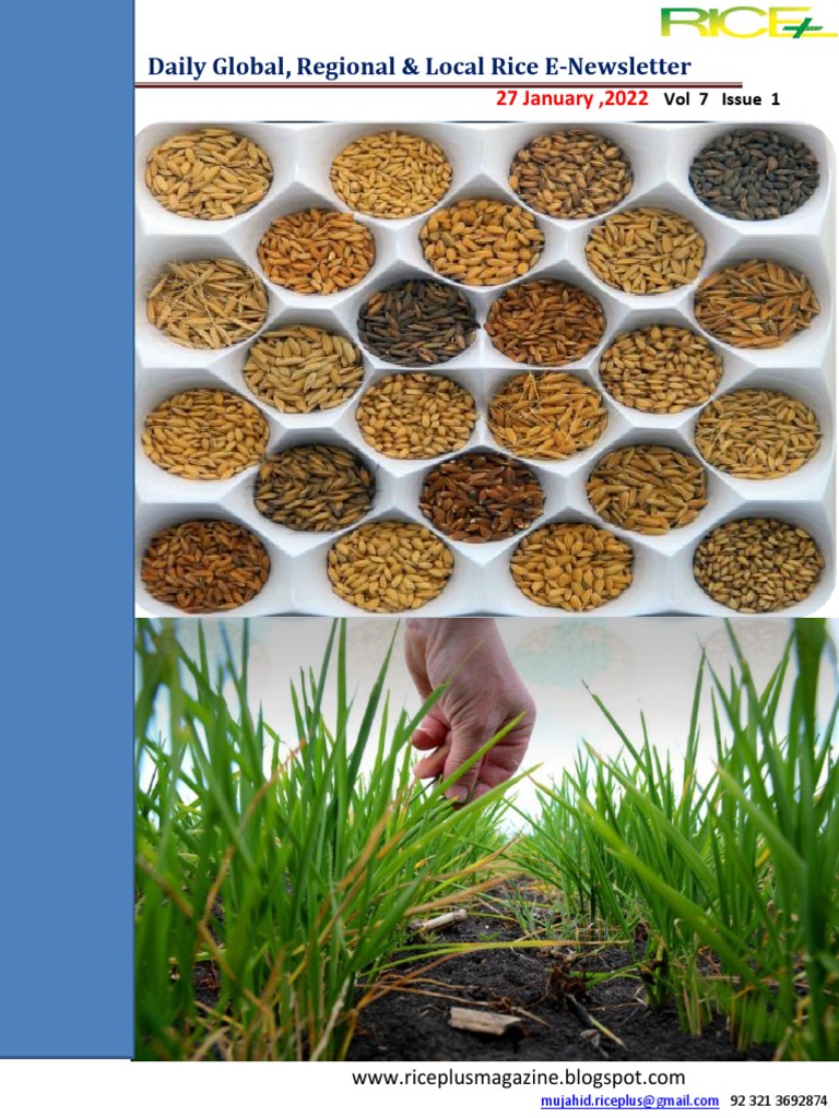 27 TH January 2022 Daily Rice News | PDF | Agriculture | Rice