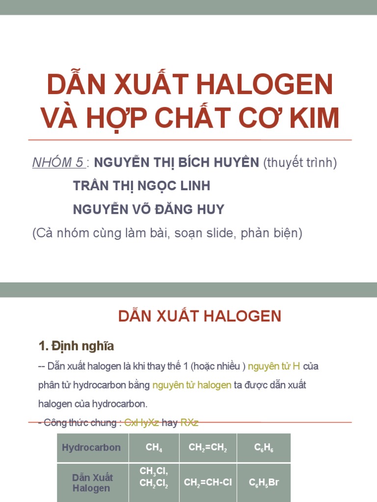Dẫn Xuát Halogen Và Hợp Chất Cơ Kim | PDF