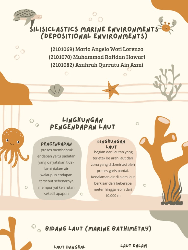 Silisiclastics Marine Environments | PDF
