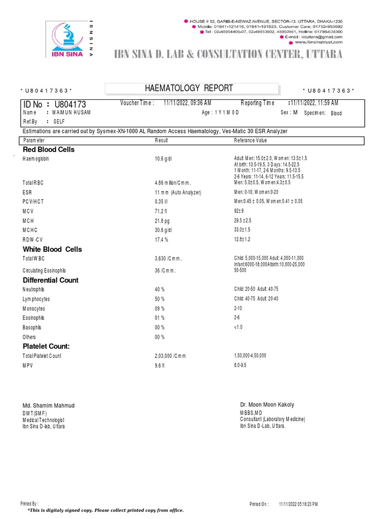 Ibn Sina Hematology Report Summary | PDF | White Blood Cell | Cell Biology