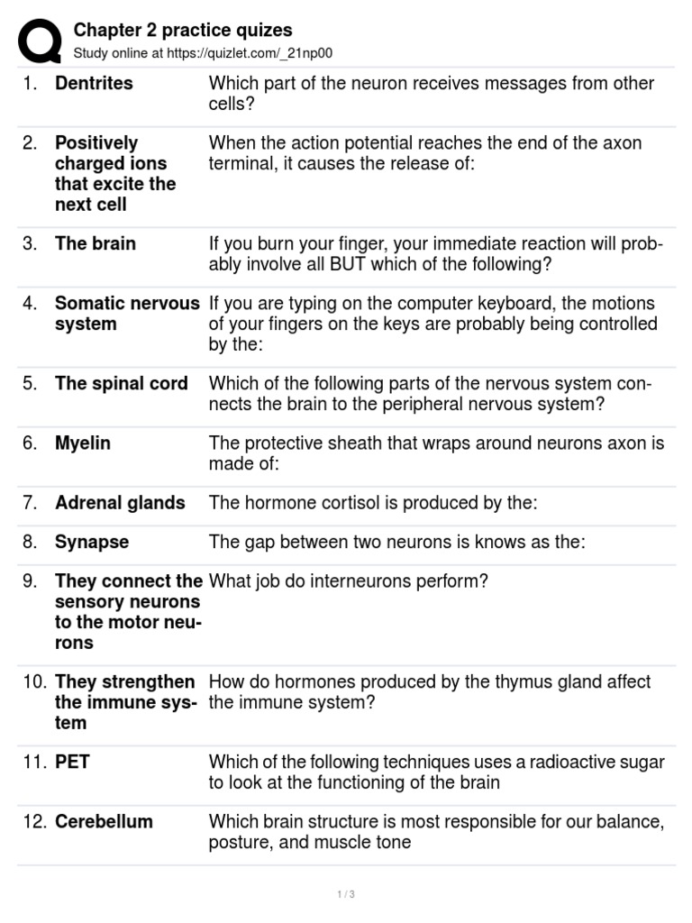 Cog Psych | PDF | Nervous System | Neuron