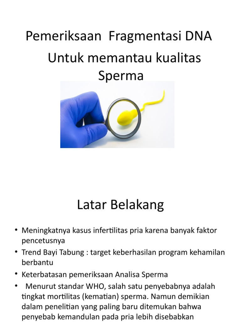Tes Fragmentasi | PDF
