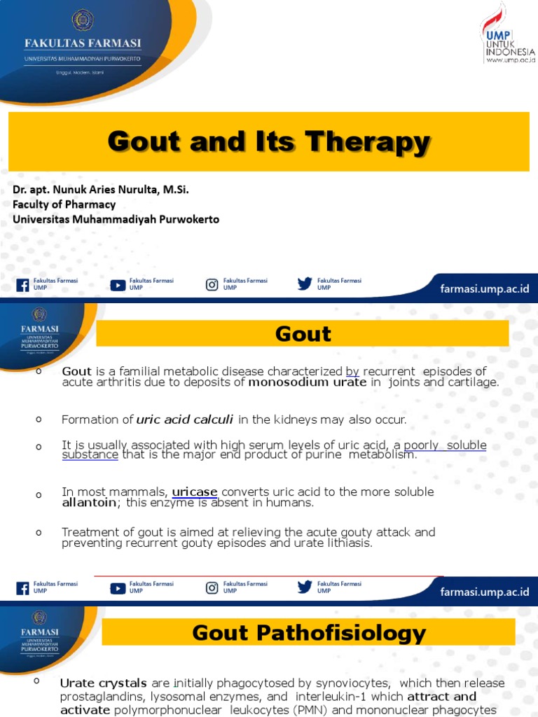 4 Gout | PDF | Gout | Organic Compounds