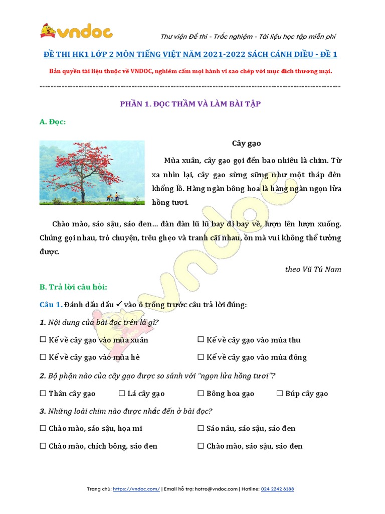 De Thi Hoc Ki 1 Lop 2 Mon Tieng Viet Sach Canh Dieu de 1 | PDF