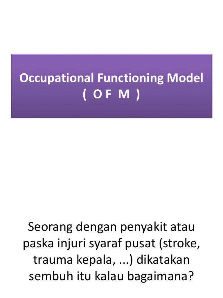 Occupational Functioning Model (Of M) | PDF