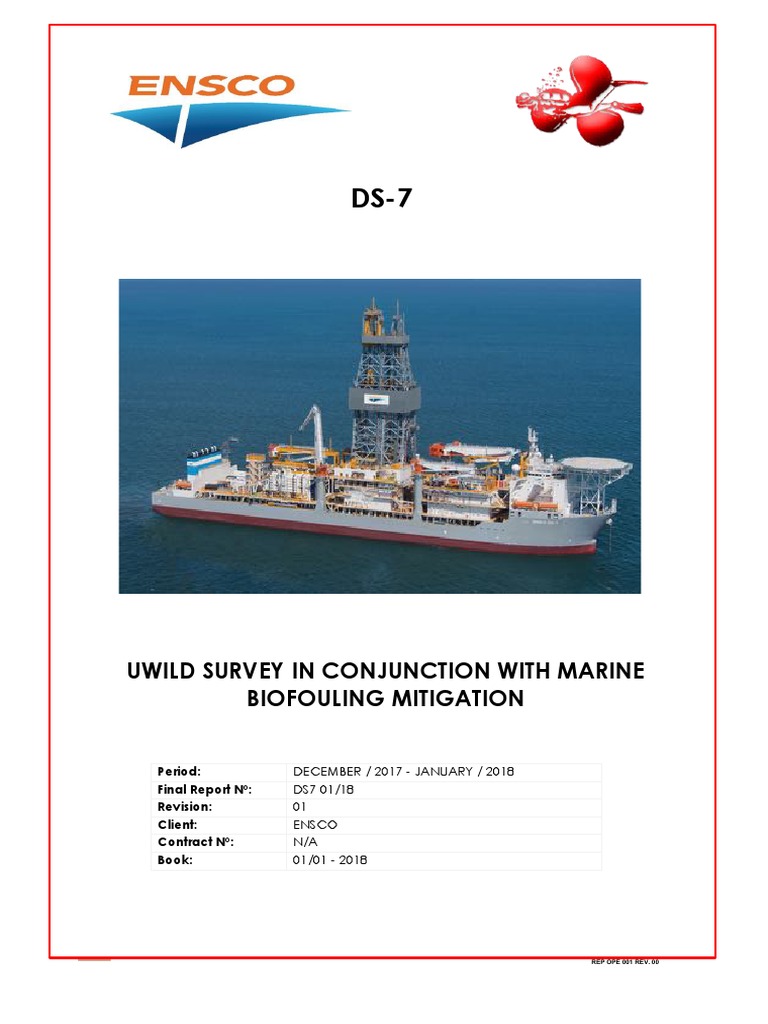 Ensco DS-7 Final Dive REPORT | PDF | Corrosion