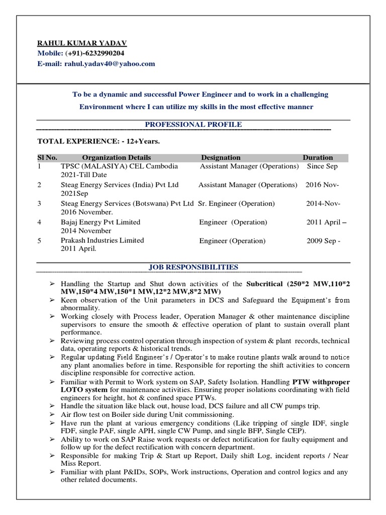 Rahul 40 CV | PDF Rahul 40 CV | PDF