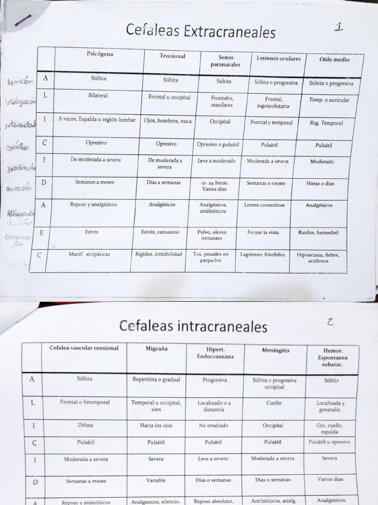 Alicidaec Semiologia Del Dolor | PDF