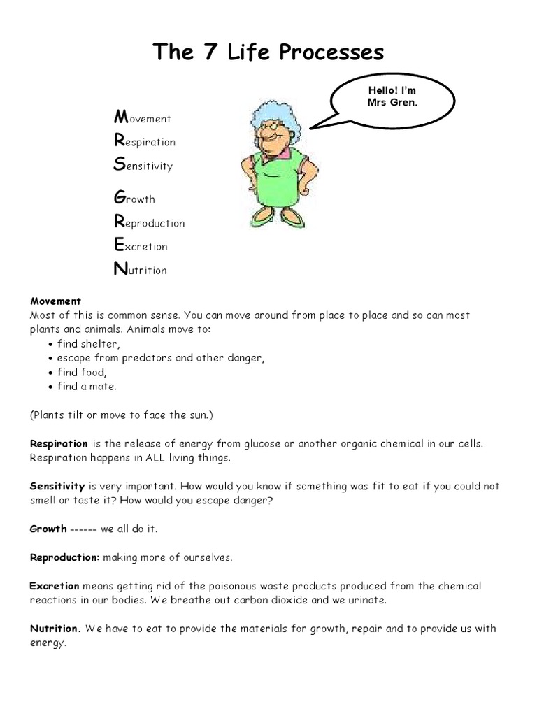 5 The - 7 Characteristics of Life | PDF