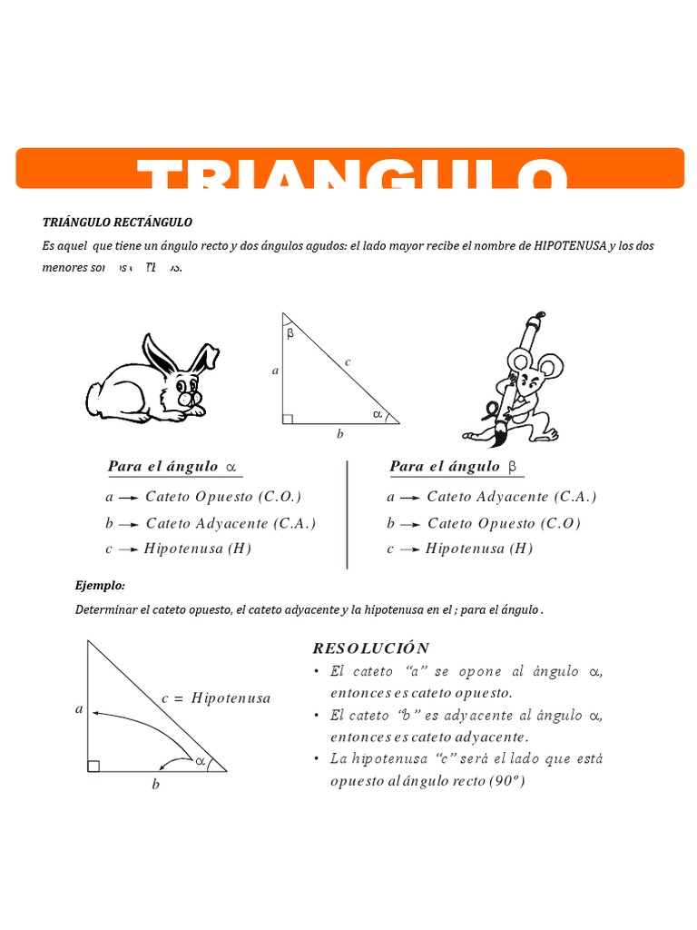 Triángulo Rectángulo | PDF | Matemática Elemental | Formas geométricas