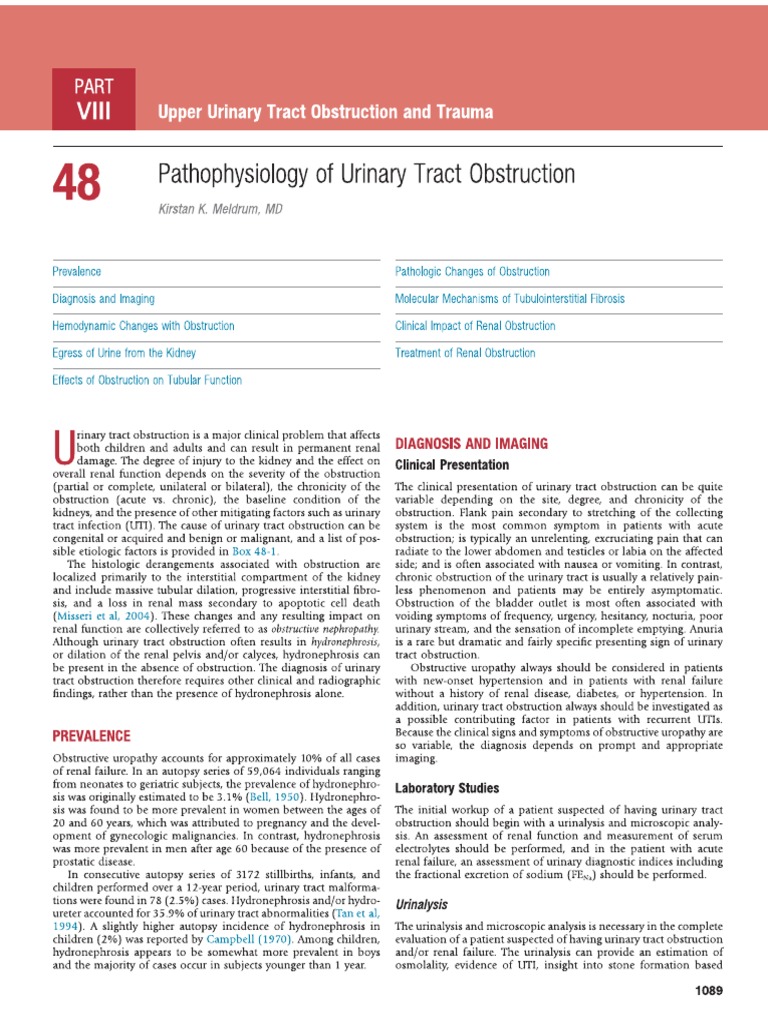 The Effects of Unilateral Ureteral Obstruction on Left Ureteral ...
