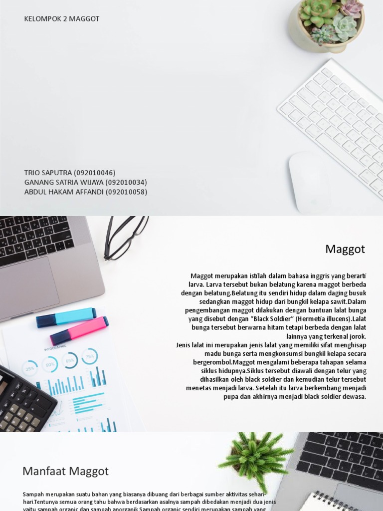 Desain dan Budidaya Maggot Efektif | PDF | Sains & Matematika