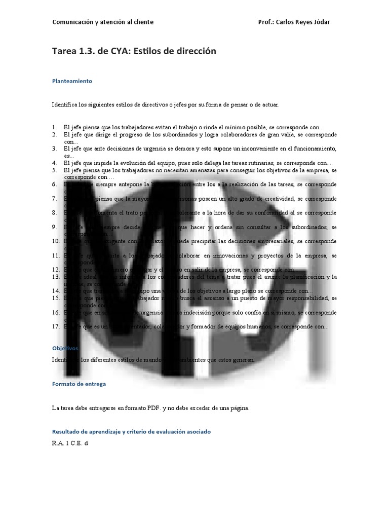 Tarea 1.3. Estilos de Dirección | PDF