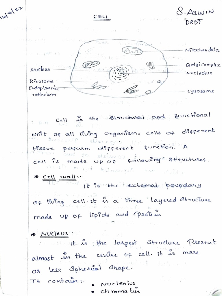 Cell Structure | PDF