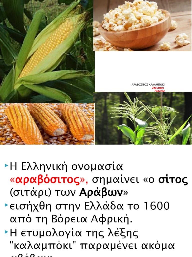 ΑΡΑΒΟΣΙΤΟΣ | PDF