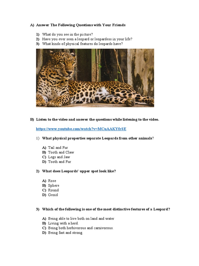 Fun Leopard Facts and Activities | PDF