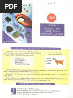 Bat7 Nivel S Resuelto | PDF