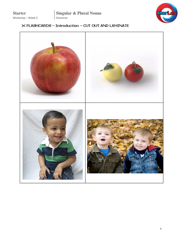 Starter - GR WS Week 03 | PDF | Plural | Noun