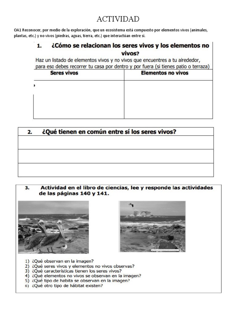 Actividad Ciencias de La Vida | PDF
