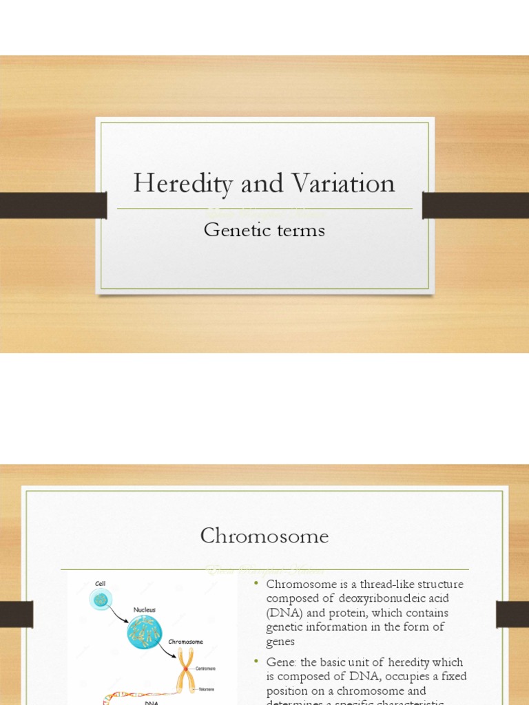 Genetic Terms | PDF | Allele | Dominance (Genetics)