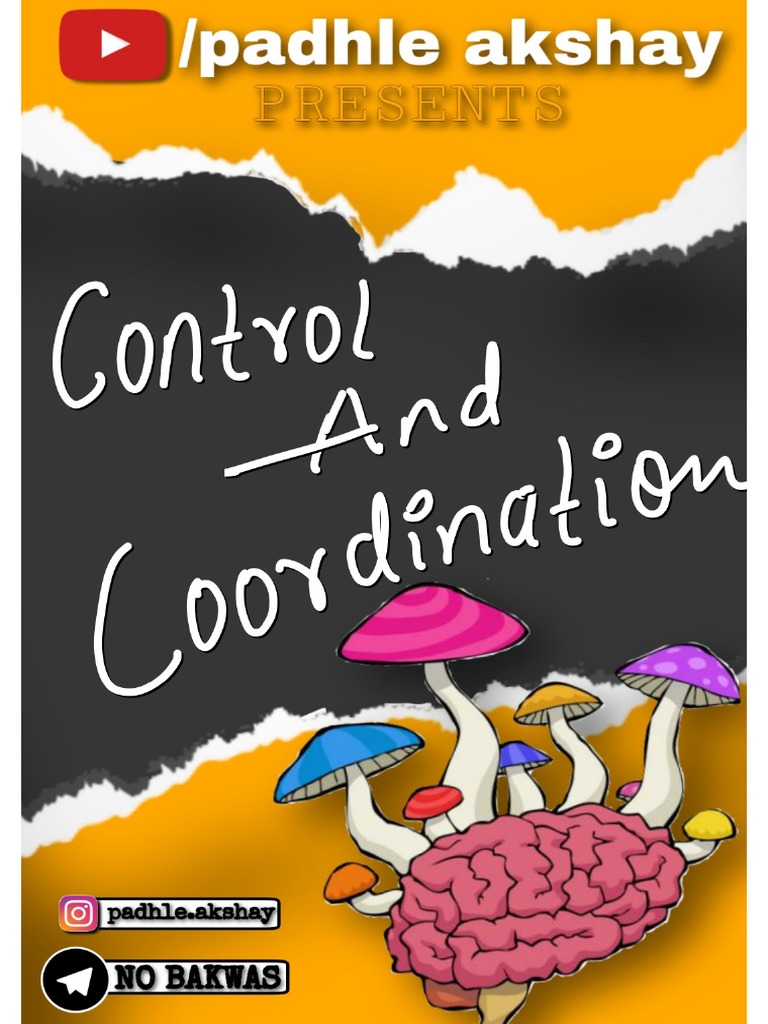 Padhle Akshay Control Coordination | PDF